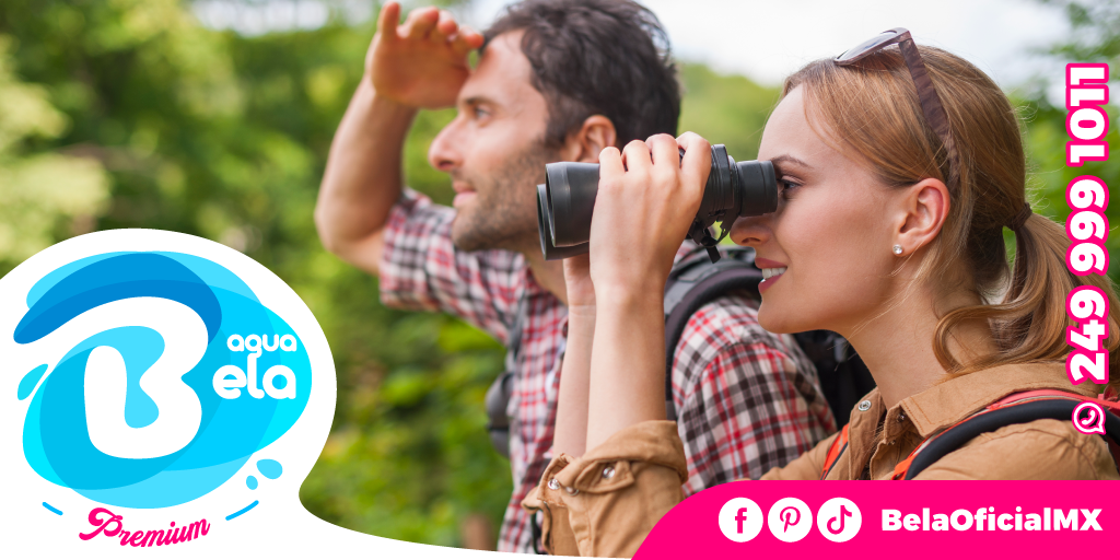 15 datos interesantes sobre la primavera