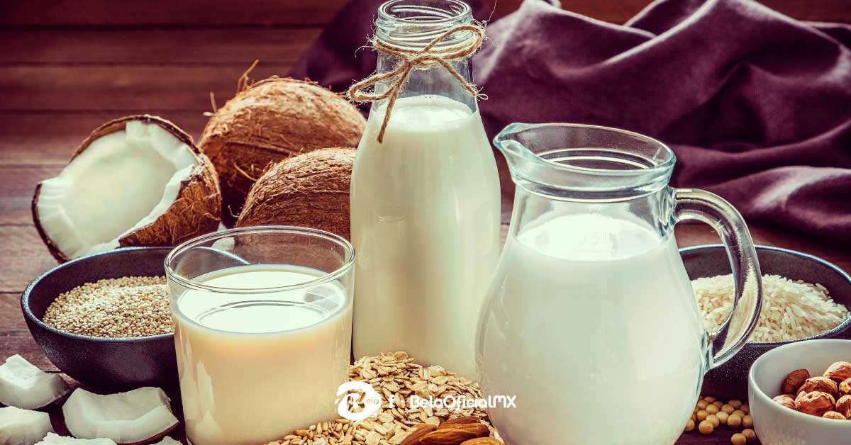 4 Recetas de leches vegetales económicas y saludables