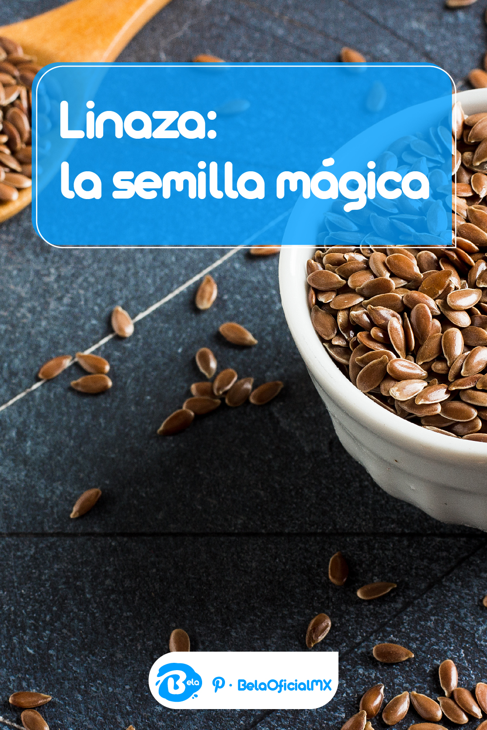 Linaza: la semilla mágica